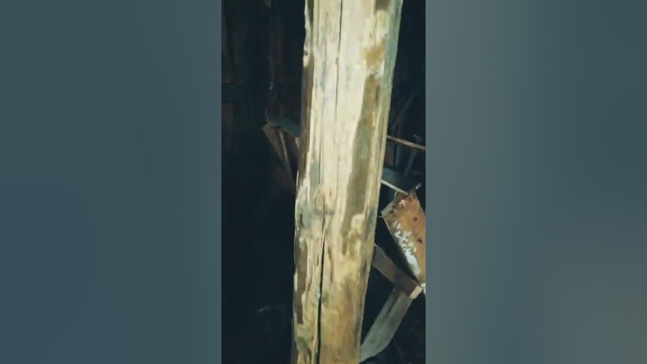 кормушка для ягнят баранов с отходов досок - YouTube