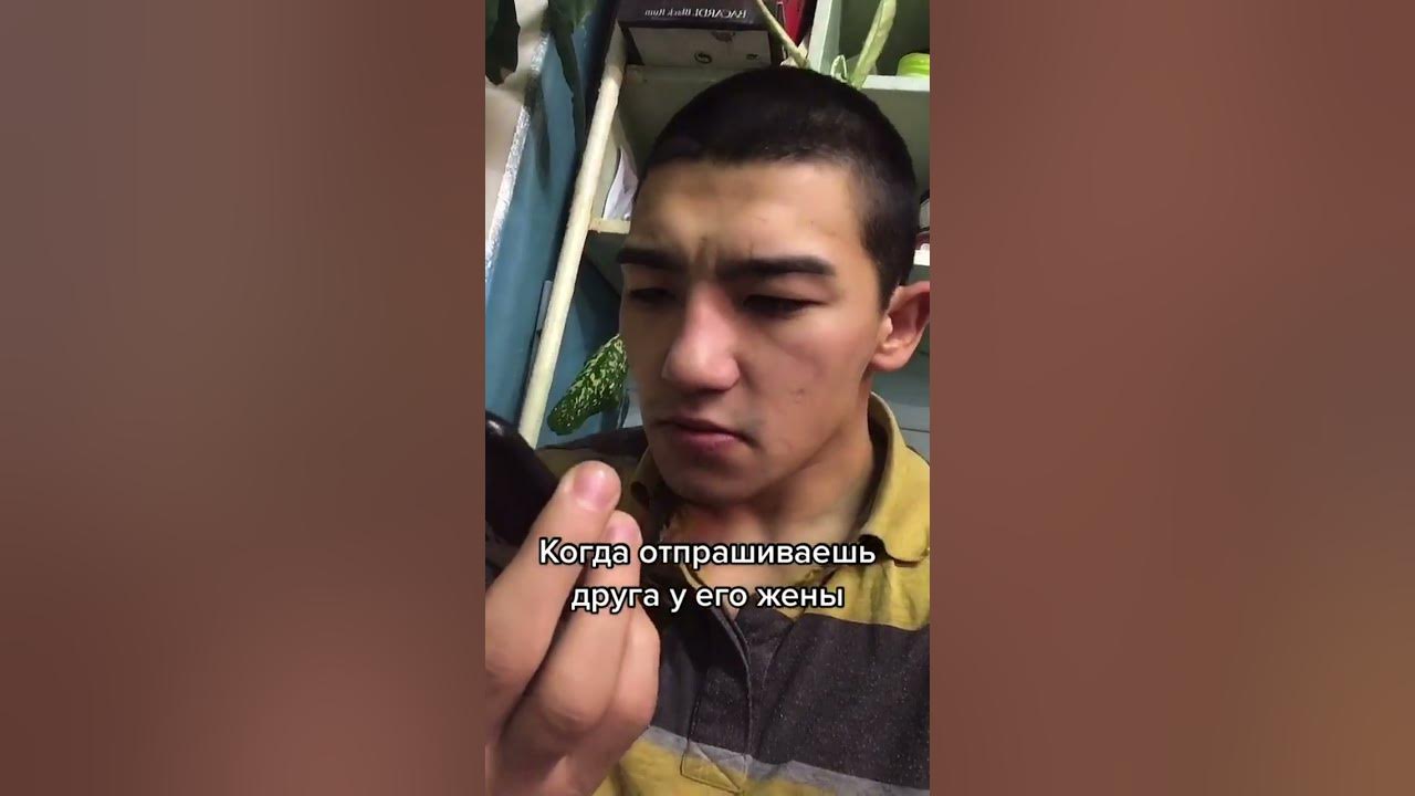жинкин лев - YouTube