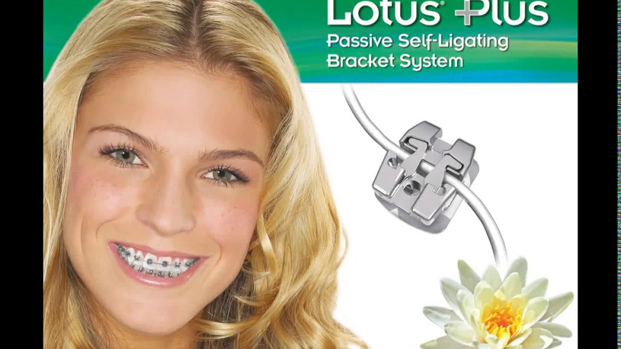 Lotus Plus - YouTube