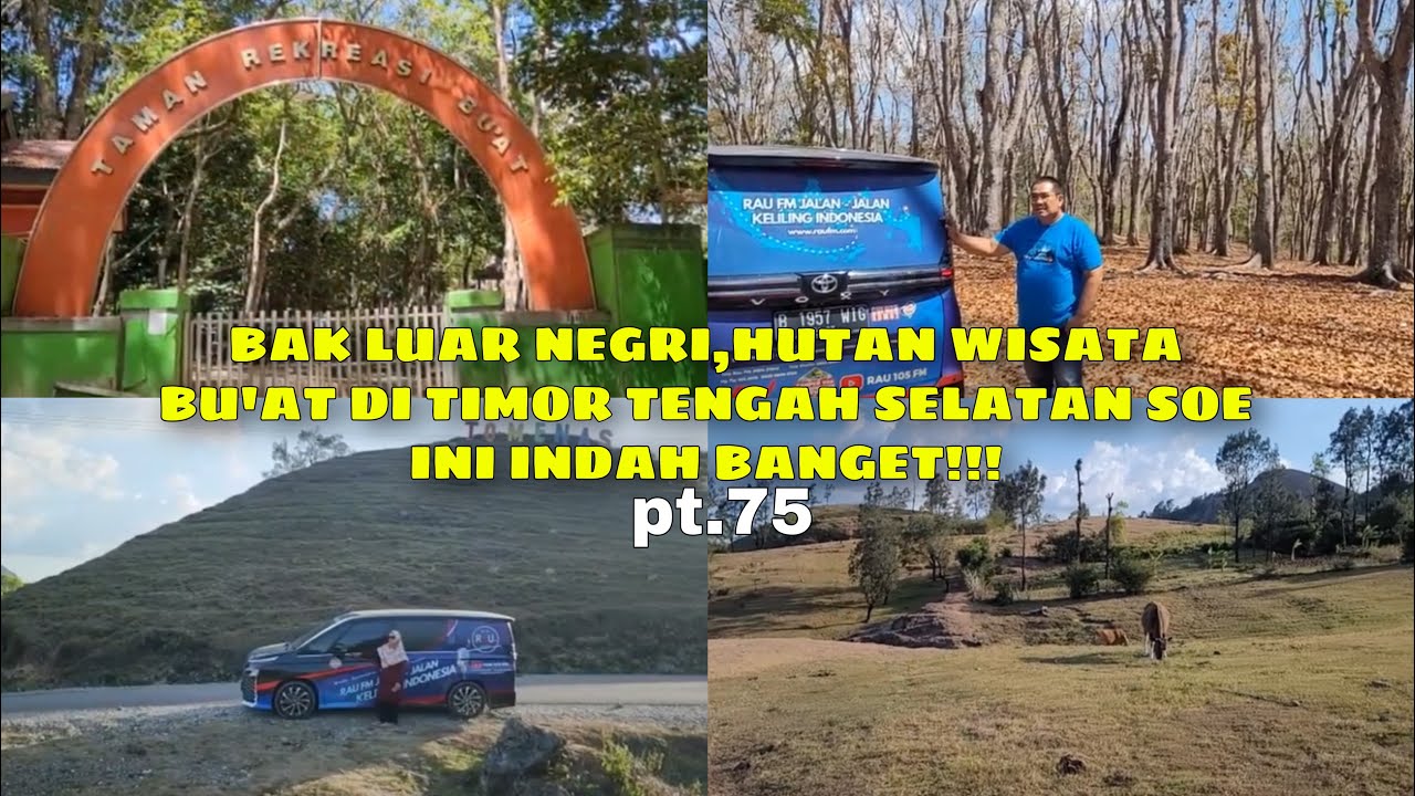 Part 75 - Bak Luar Negri, Hutan Wisata Buat di Timor Tengah Selatan Soe ...