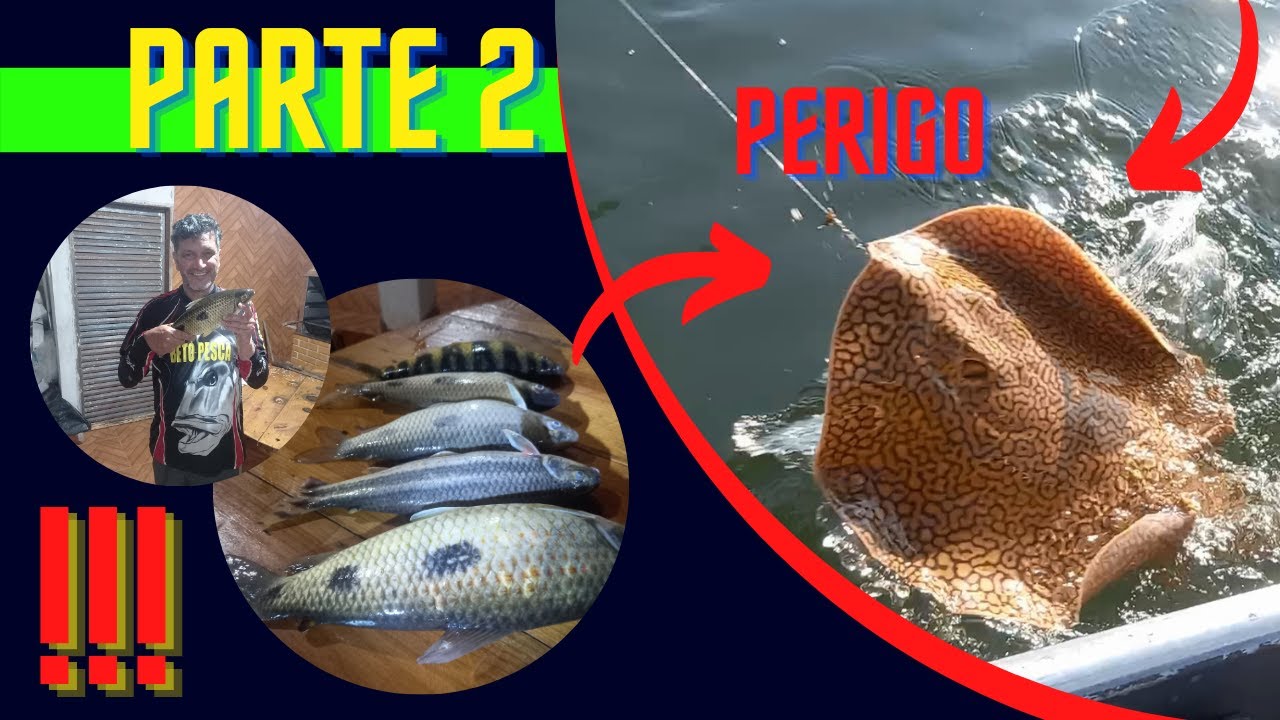 PESCARIA RIO PARANÁ PARTE II | ARRAIA NA PESCARIA | BETO PESCA - YouTube