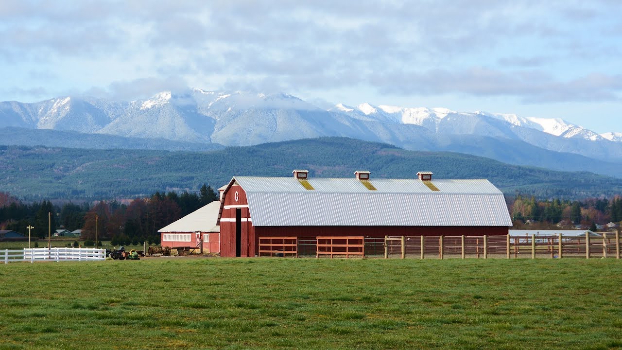 Scenic Sunday Morning Drive in Sequim, Washington - YouTube