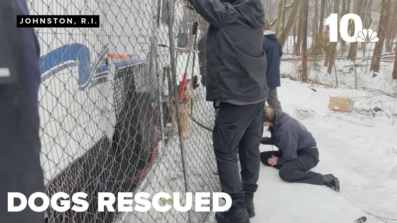 Rhode Island SPCA rescues four abandoned dogs from Johnston motorhome ...