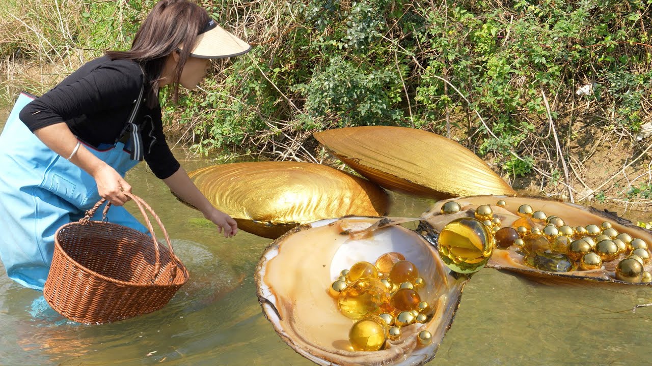 Nature's Jewel Box: Rare Aquatic Gems Encased in a Primitive Shell ...