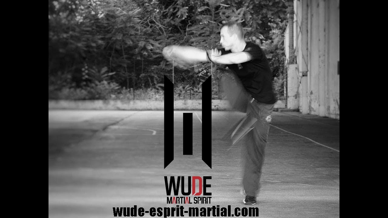 WUDE : TEST TAIJIQUAN niveau II - 2nd partie de la forme et ...
