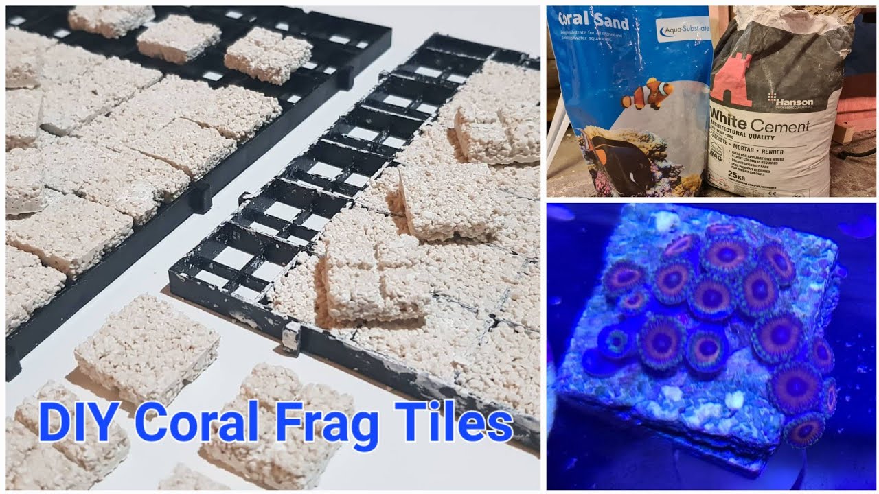 How To Make DIY Coral Frag Tiles/Plugs - YouTube