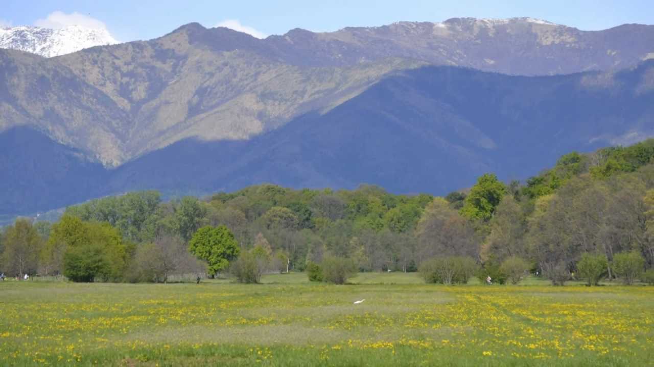 PARCO LA MANDRIA, VENARIA REALE TORINO - YouTube