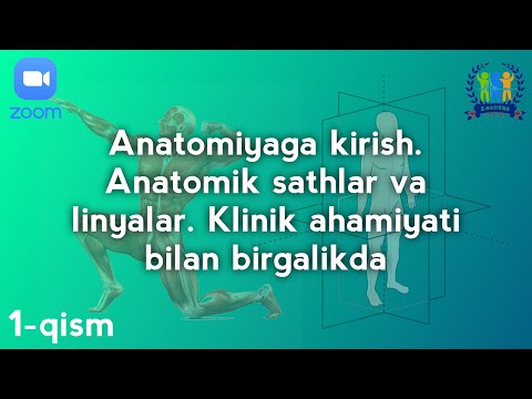Anatomiya Faniga Kirish | Sathlar | Liniyalar | Klinik ahamiyati 1/2 Qism By Leaders