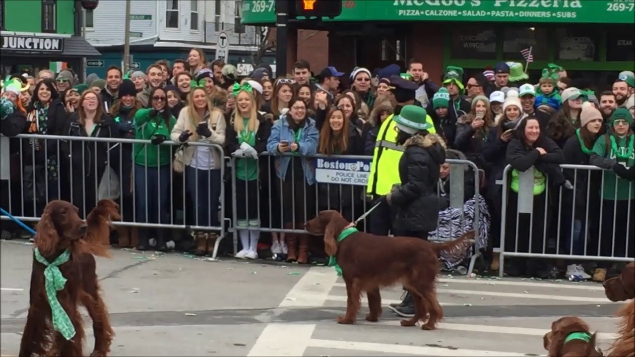 St patrick Parade - Boston - March 19, 2017 - YouTube