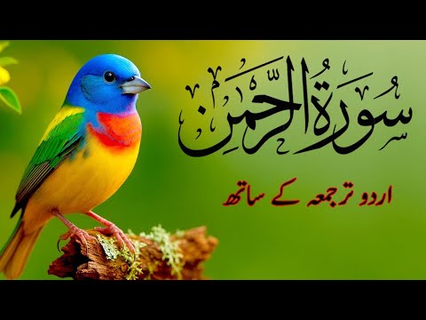 Surah Rahman with Urdu Translation by Qari Ismail Al Nouri | Powerful ...