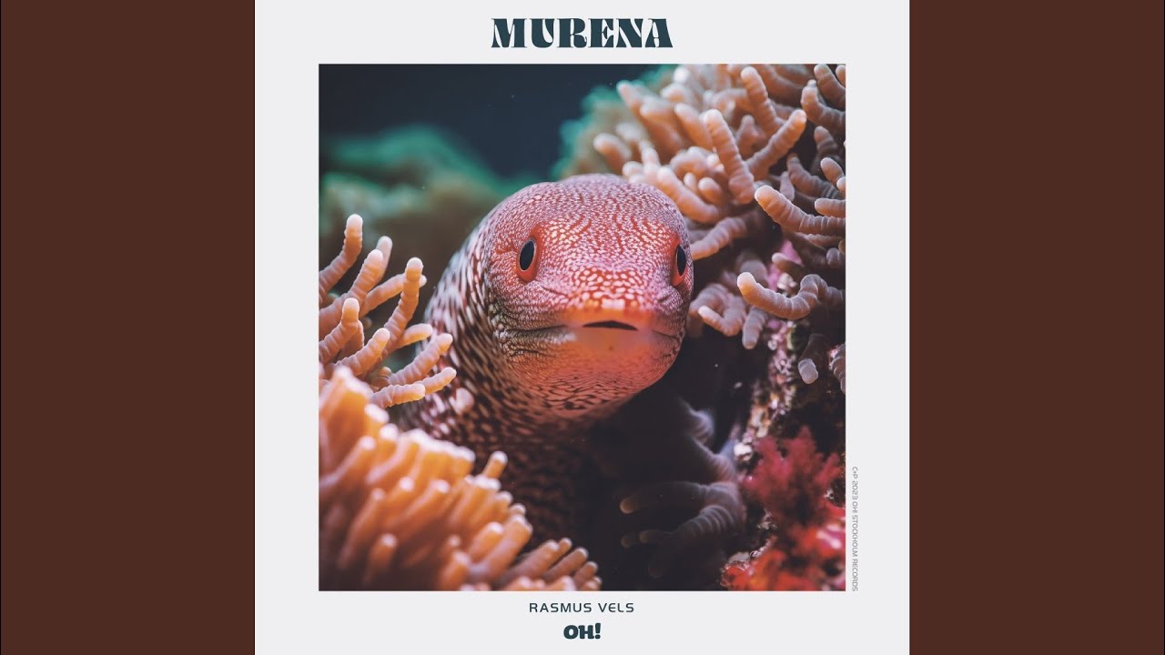 Murena - YouTube