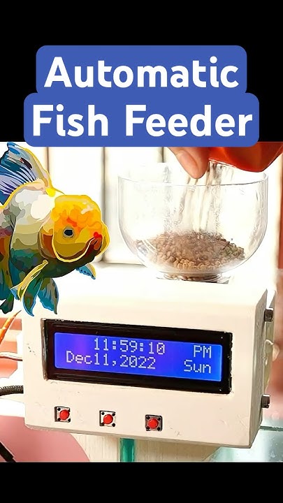 Automatic fish feeder with Arduino & LCD display #arduino #diy # ...