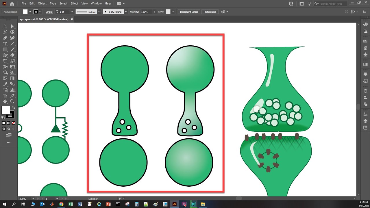 Drawing a simple synapse in Adobe Illustrator - YouTube