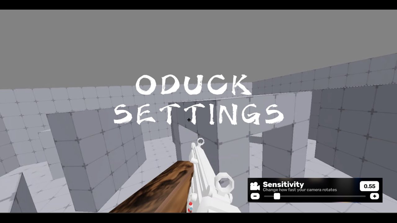 I used ODUCK'S setting in Roblox Rivals!!!!! - YouTube