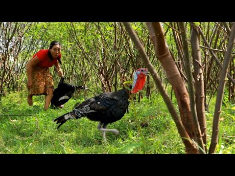 Top survival skills- Catch turkey for food- Cooking turkey spicy +5food ...