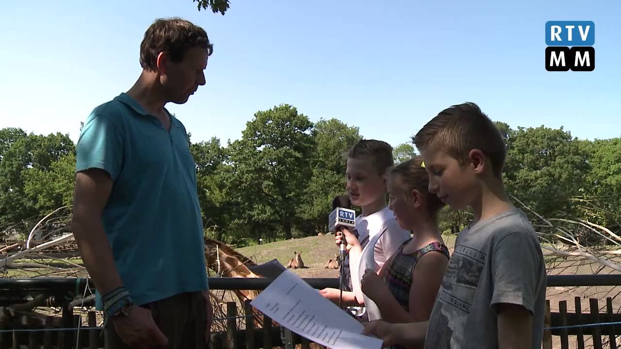 RTV Emmen - Alles Kits Dierentuin - YouTube