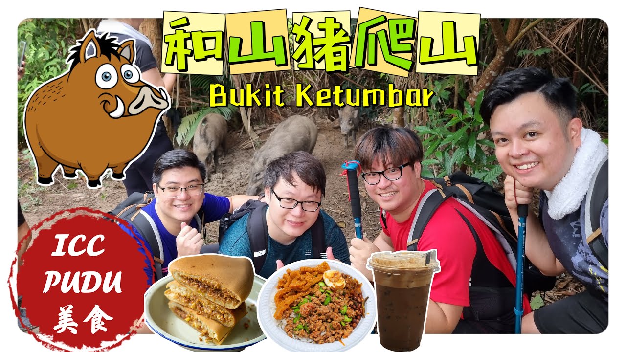 KETUMBAR山巧遇山猪🐗不攻击还能合照+ICC PUDU美食🍜咖啡天花板☕|Hiking Ketumbar Hill🐗Spotted ...