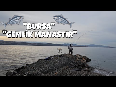 !!! BURSA GEMLİK MERALARINDA SON DURUM !!! ^#balıkavı #levrekavı #bursa #canlıyem #çupra