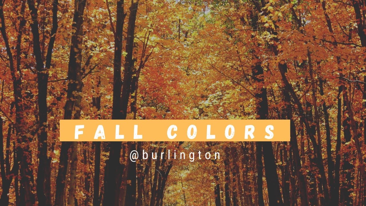 Fall colors || Autumn Colors in Burlington || Beautiful fall colors ...