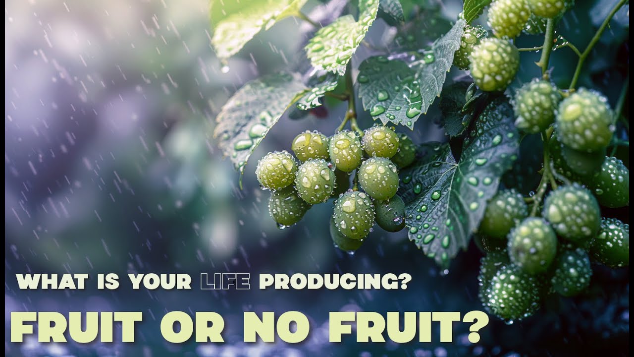 Fruit or Nor Fruit - YouTube