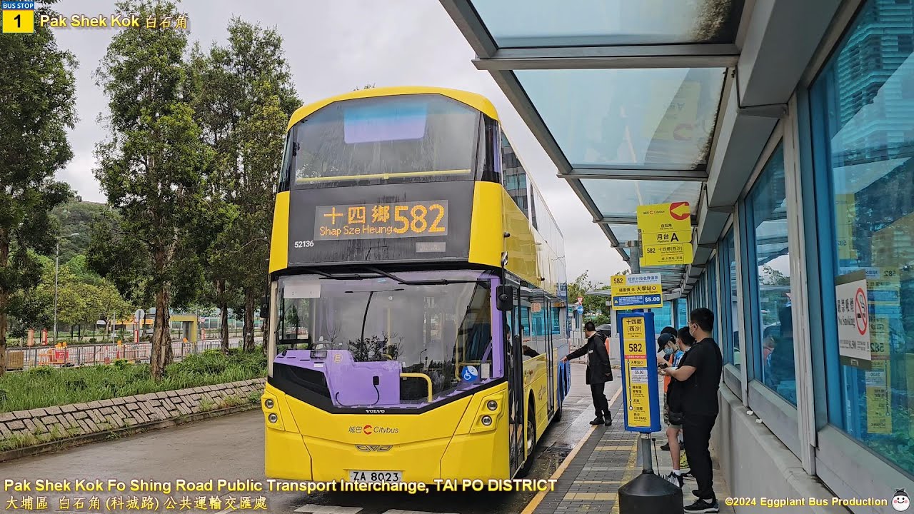 【新線二航】🇭🇰Hong Kong Bus CTB 582 #52136 ZA8023 Pak Shek Kok 🍆 Sai Sha and ...