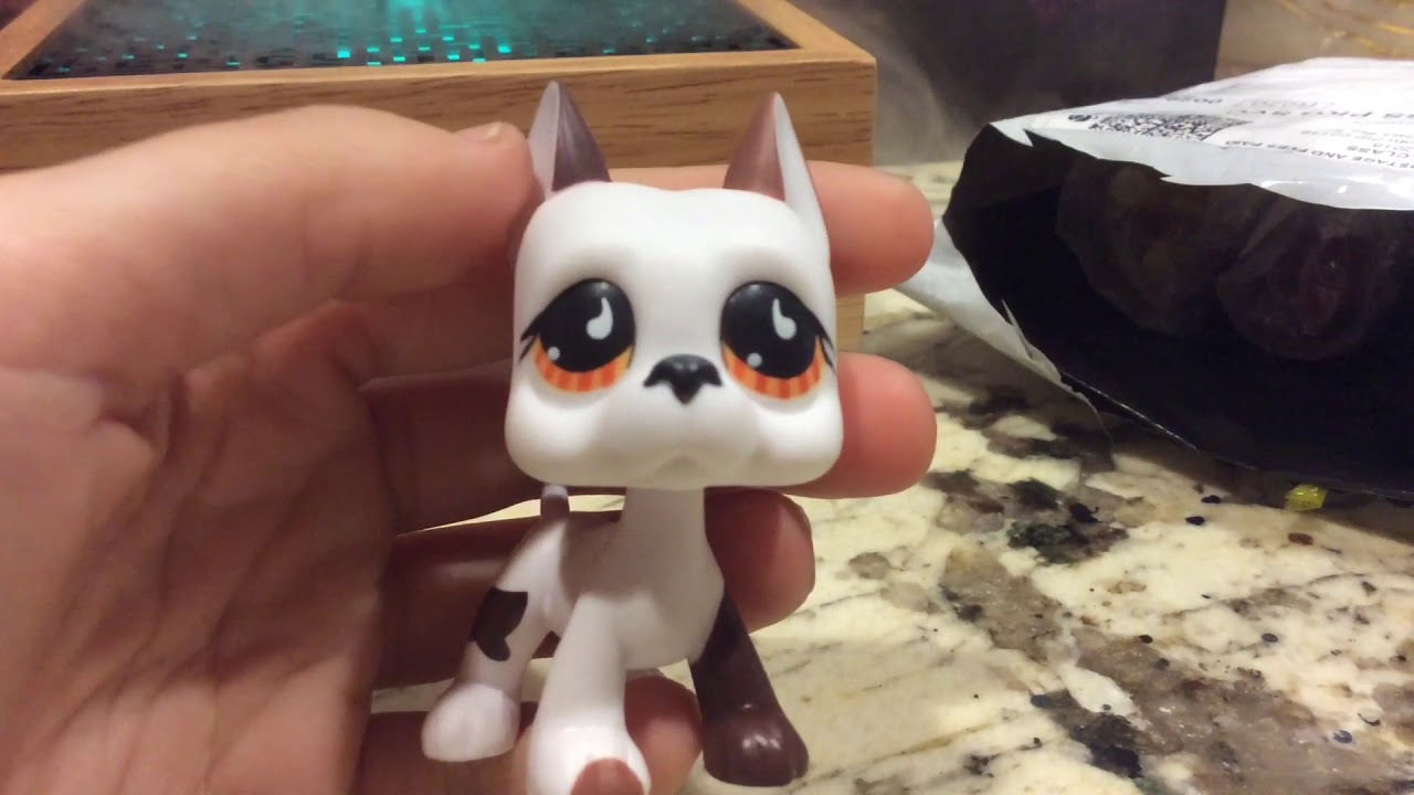 Unboxing LPS - YouTube