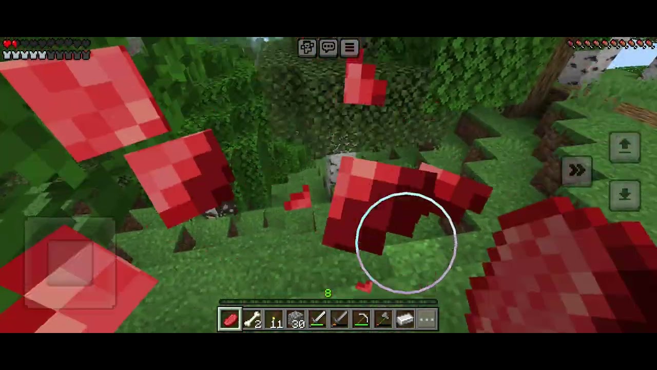 Lost My Dog in Minecraft After He Fell Down! 😔😔 | Minecraft gameplay #8 - YouTube