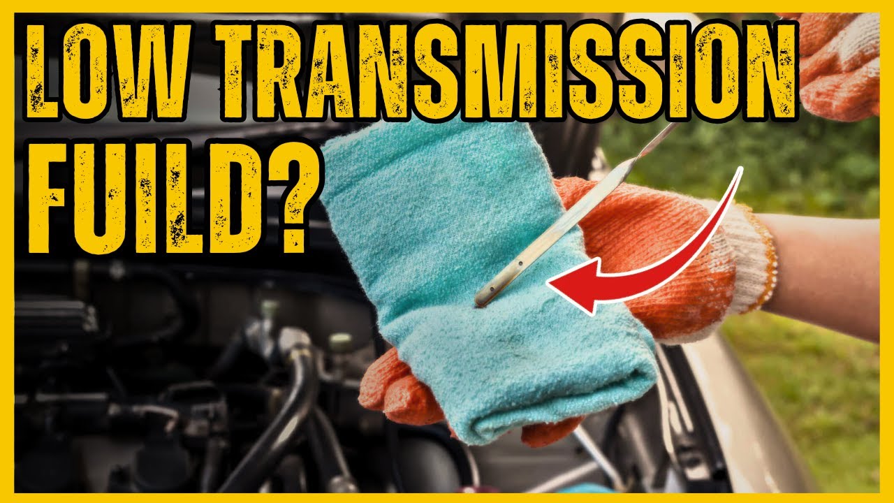 SYMPTOMS OF LOW TRANSMISSION FLUID YOU SHOULD KNOW | DON'T IGNORE THESE ...