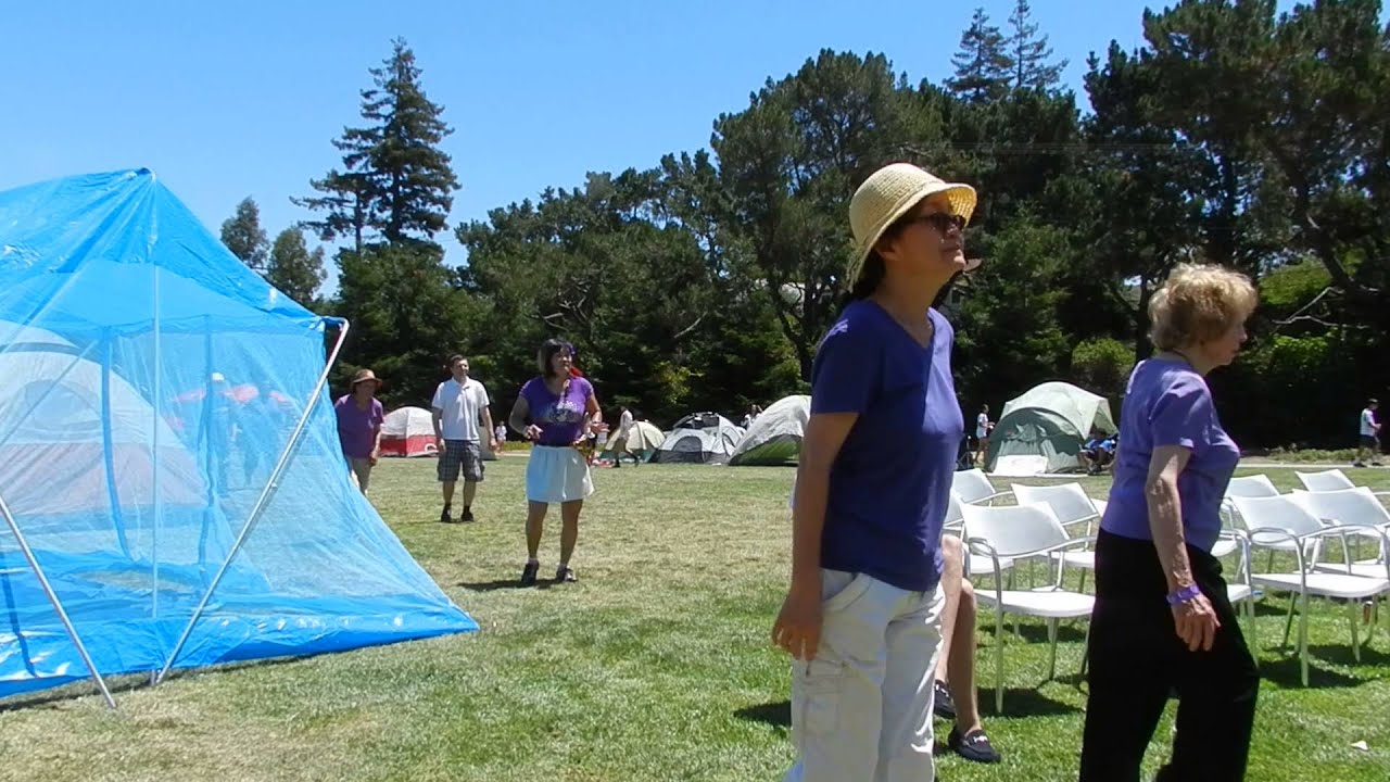 RFL Flash Mob Part 2 - Relay for Life Dance Mix - YouTube
