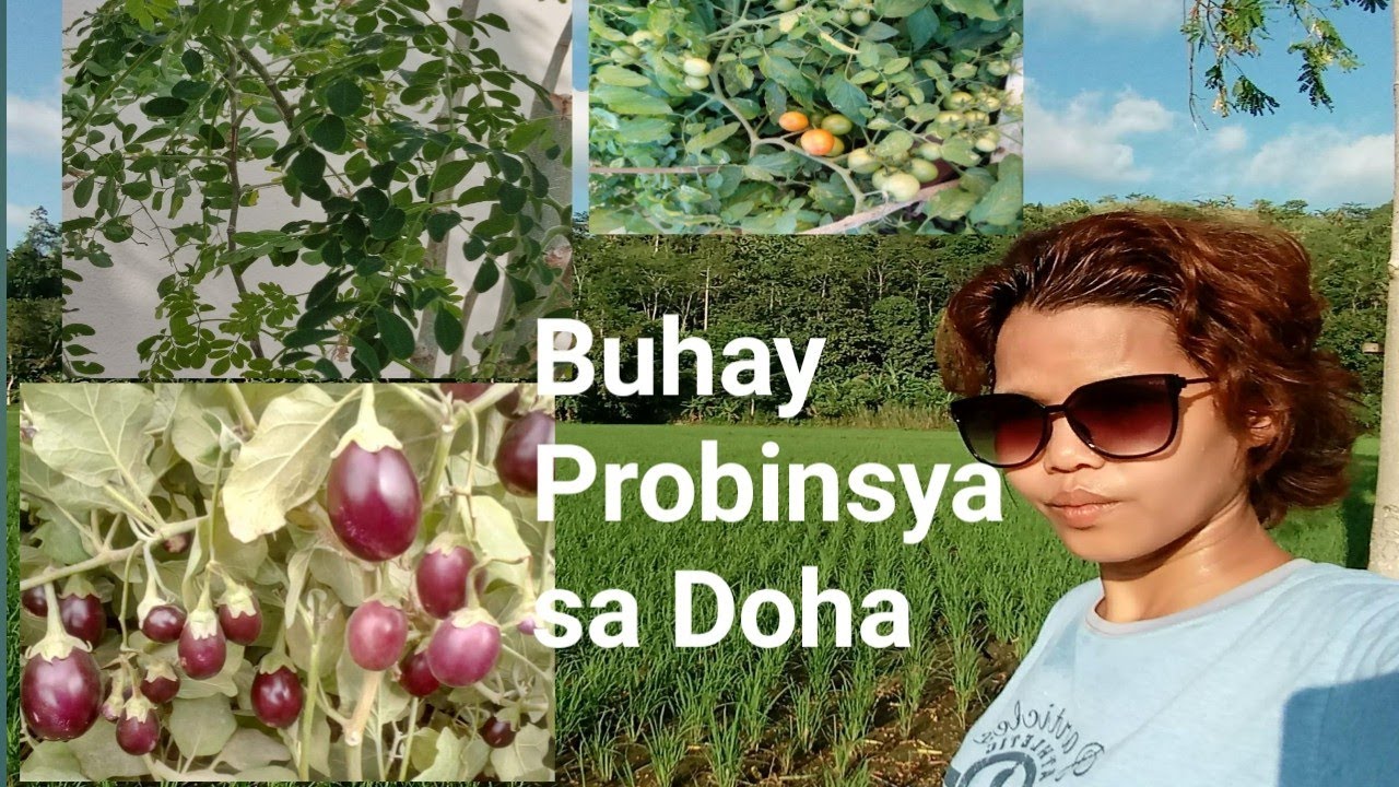 (Vizdak OFW) Buhay probinsya sa Doha - YouTube
