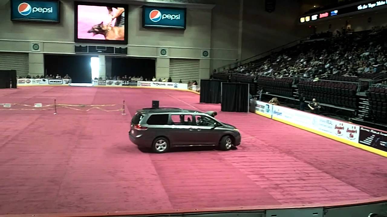 LVMPD K-9 Trials 2011 - Metro K-9 In Action - YouTube