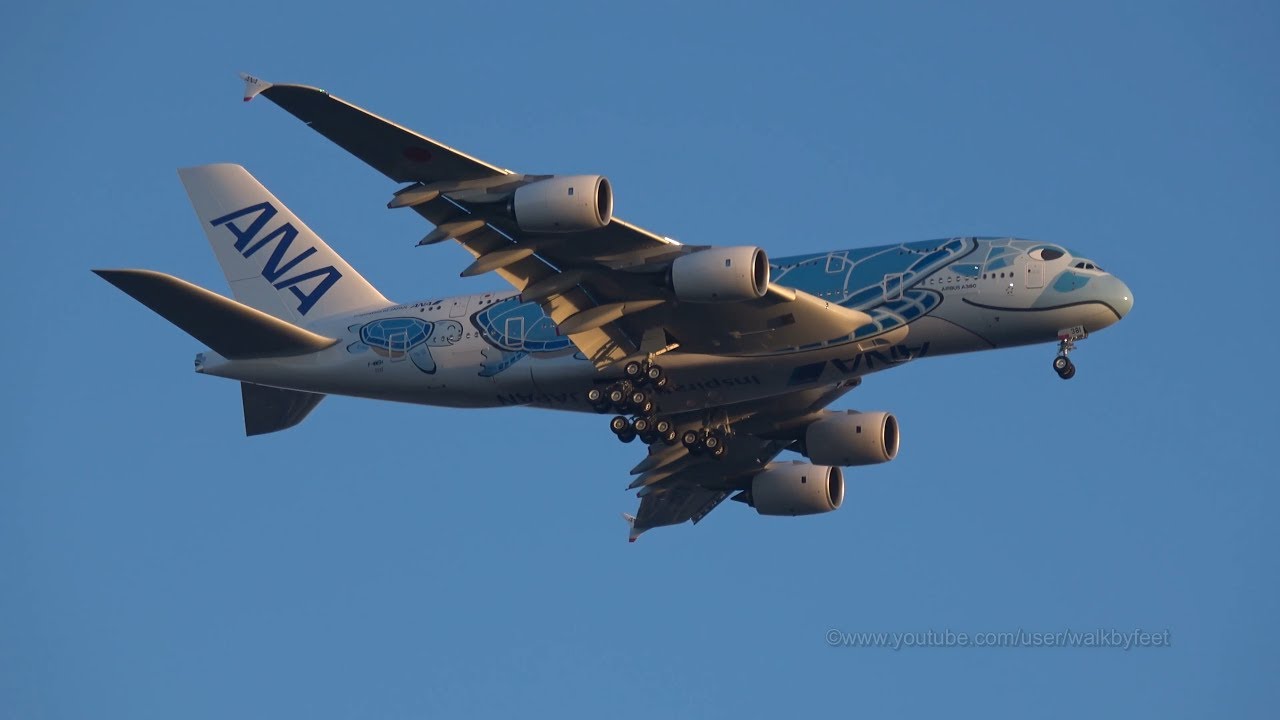 First ANA A380 in full "flying turtle" painting landing approach to ...