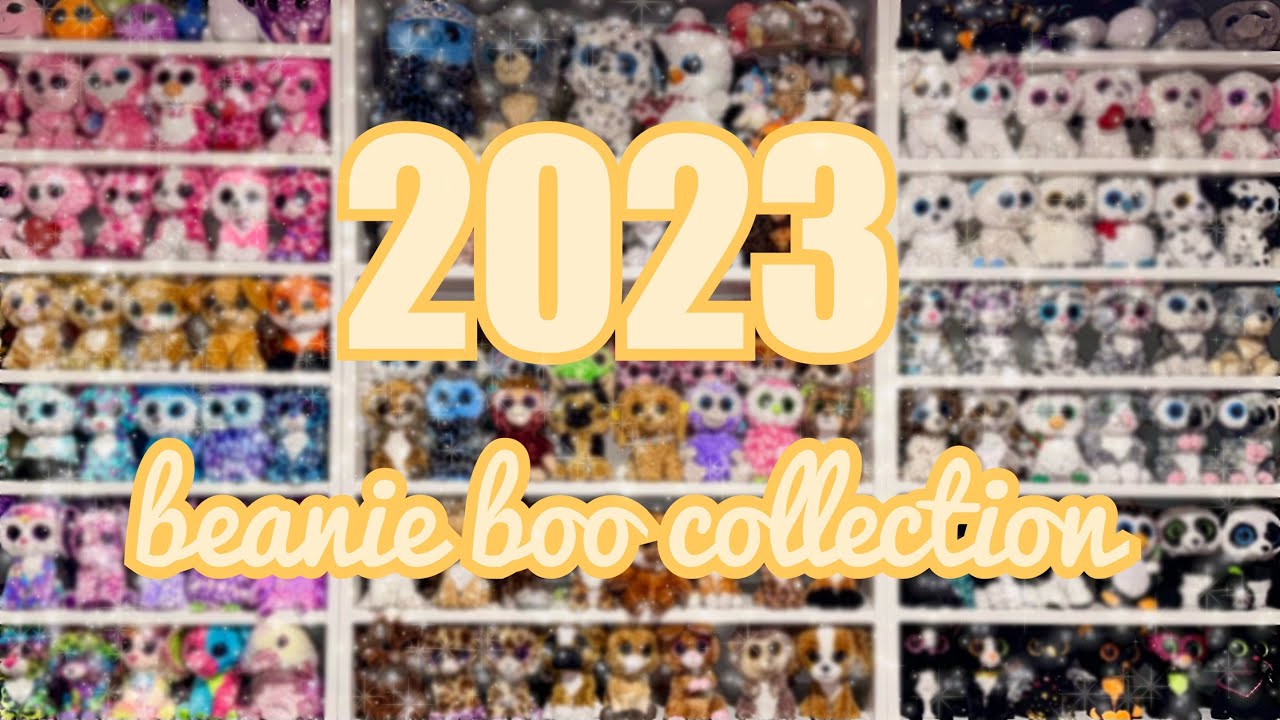 My Beanie Boo Collection || 2023 - YouTube