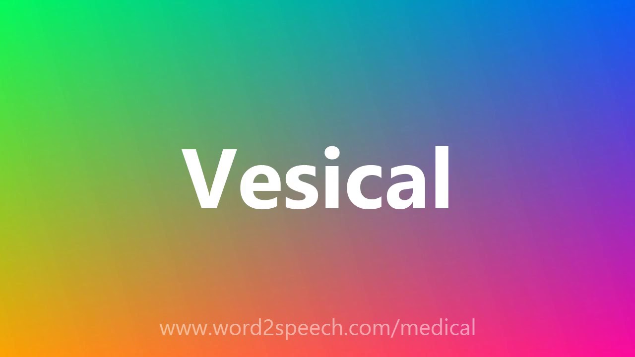 Vesical - Medical Definition - YouTube