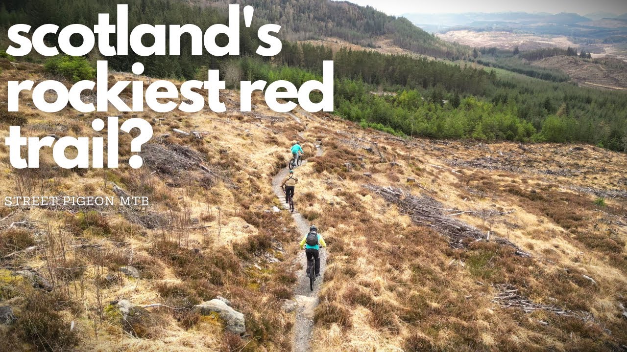 Conquer the Red MTB trails at Laggan: A challenging Scottish Trail ...