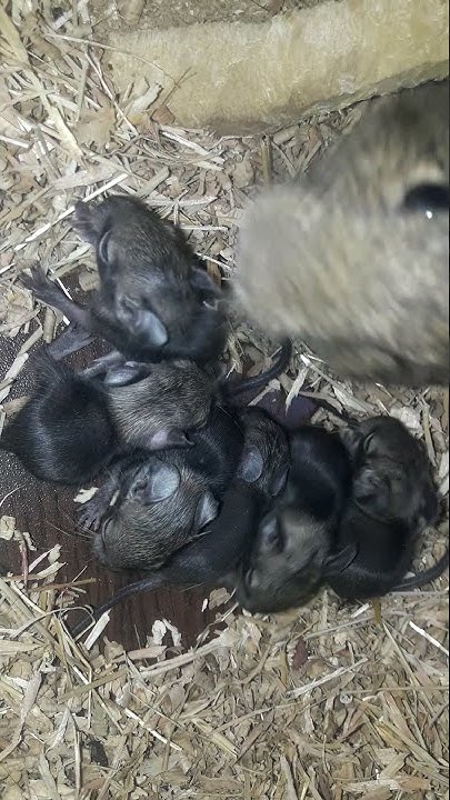 Утренний подарок. - YouTube