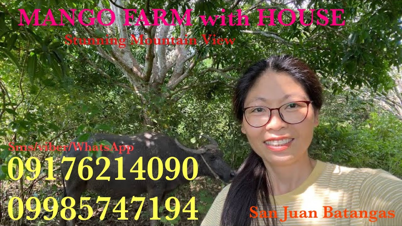 Vlog531: 1 HECTARE MANGO FARM WITH HOUSE & PERFECT MOUNTAIN VIEW FOR ...