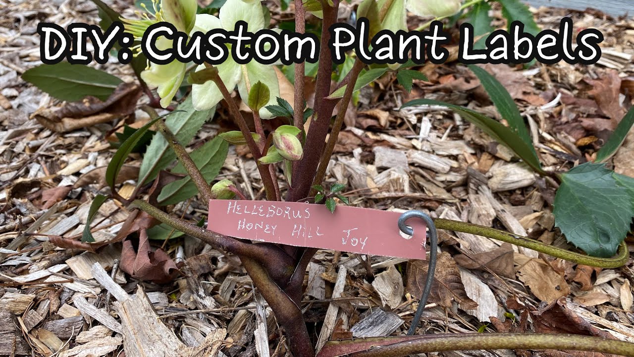 DIY: Making Custom Plant Labels that Last - YouTube