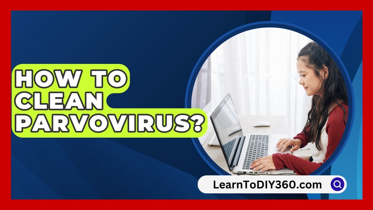 How To Clean Parvovirus? - LearnToDIY360.com - YouTube