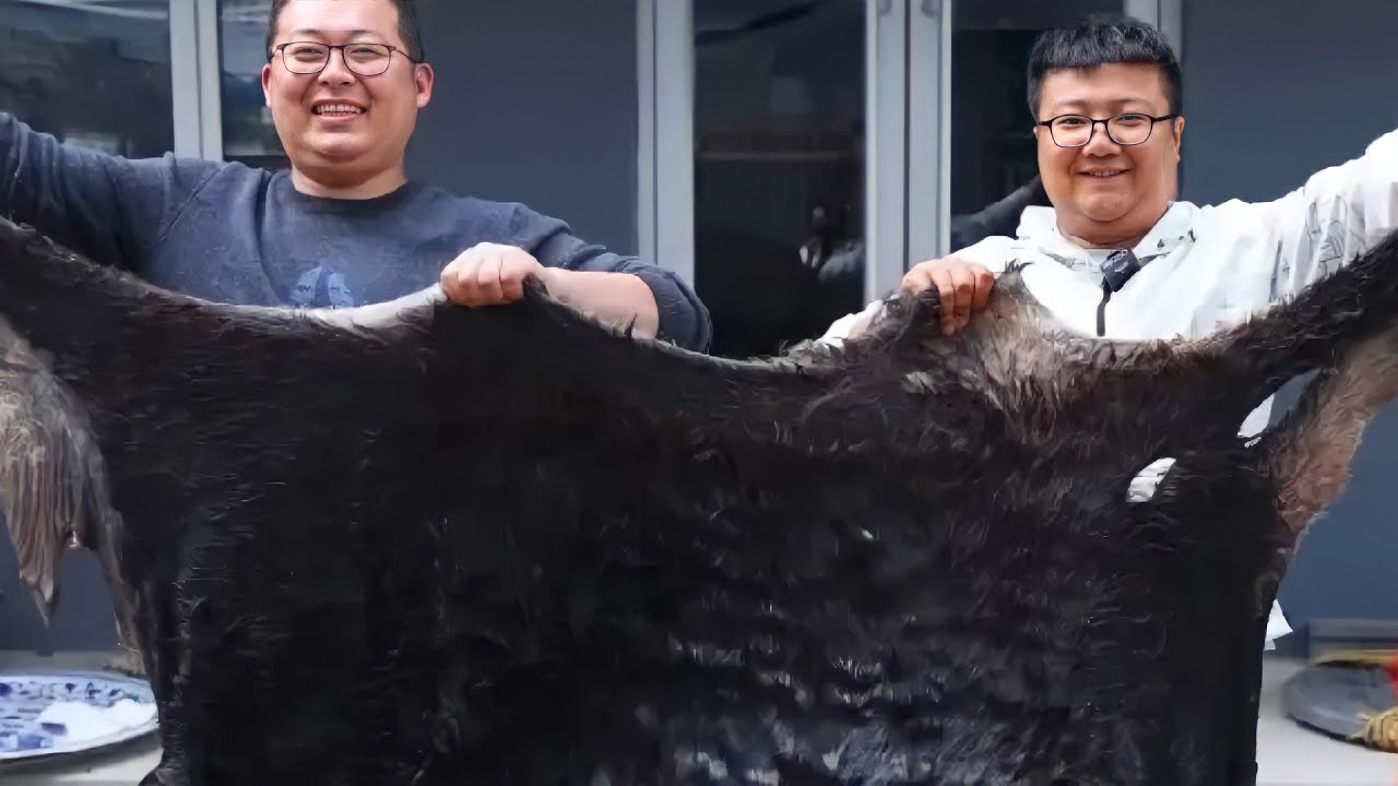 BUY DONKEY SKIN || Miami Invite Friend To Eat "DRY POT DONKEY SKIN" QQ彈 ...