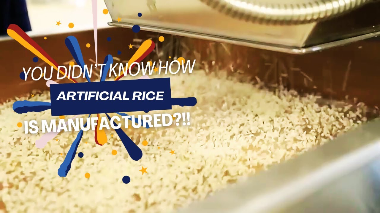 ARTIFICIAL RICE Manufacturing! | Modern Food Processing Machines 24 ...