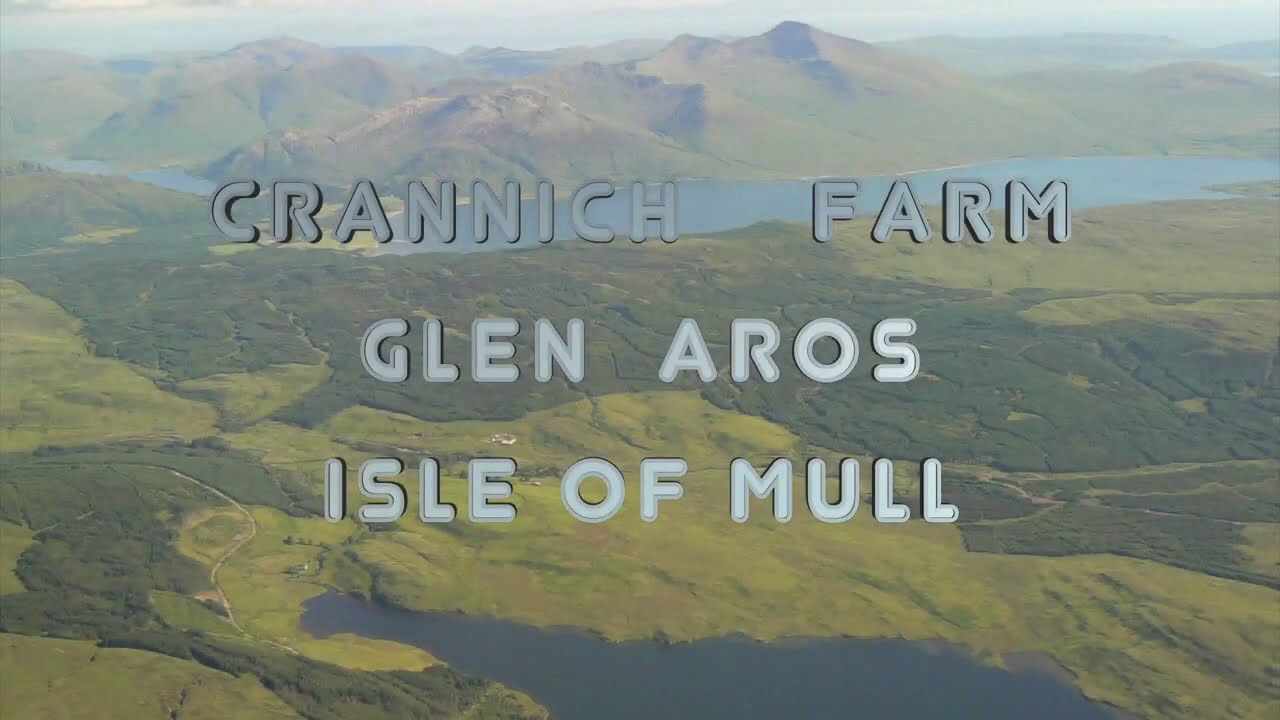 How two farmers transformed their farm's landscape using agroforestry ...