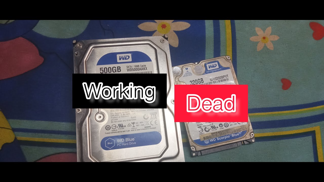 That second HDD bricked my PC 💀 - YouTube
