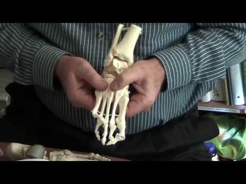 Cuboid Syndrome Holistic Treatment Hesch Method - YouTube
