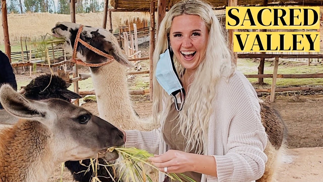 FLYING ACROSS PERU FOR ALPACAS! - YouTube