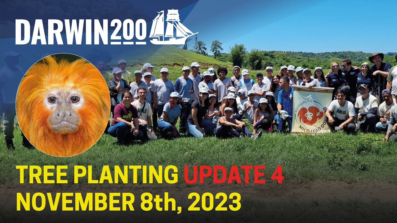 Tree Planting Update 4 - November 8th, 2023 - YouTube