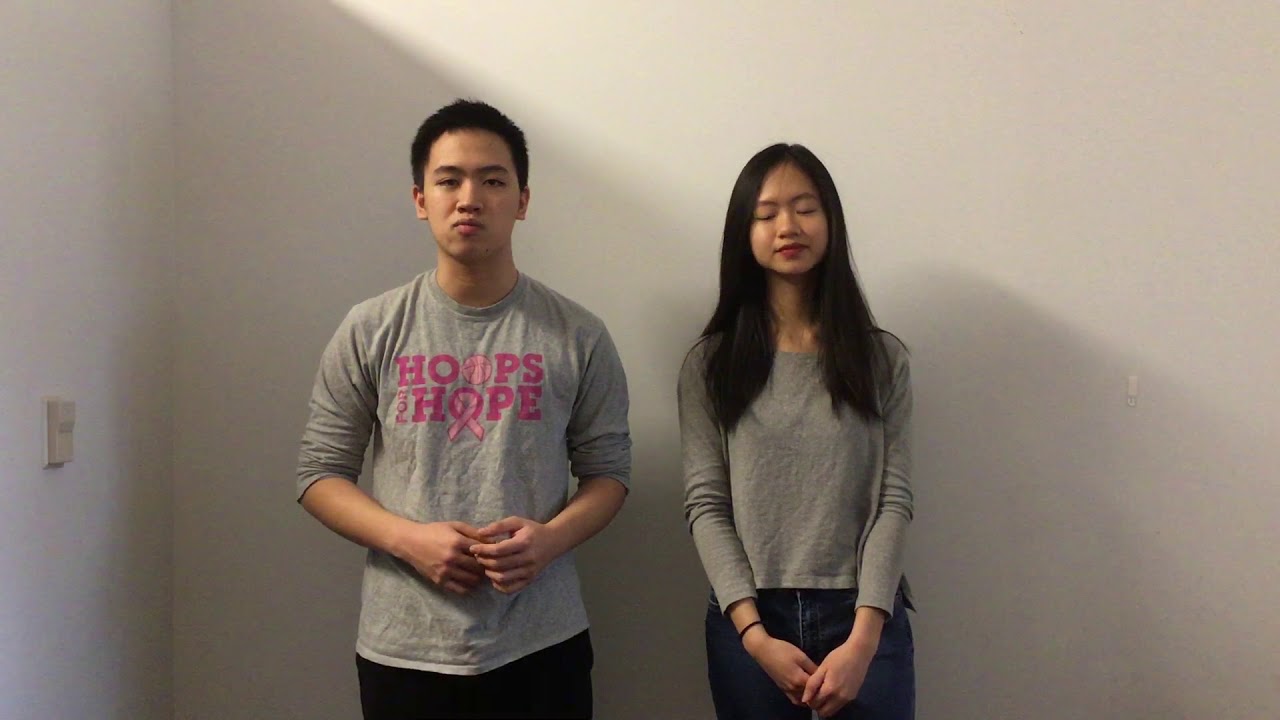 Finding your inner voice: a twins' story | Duong Nguyen & Hung Nguyen ...