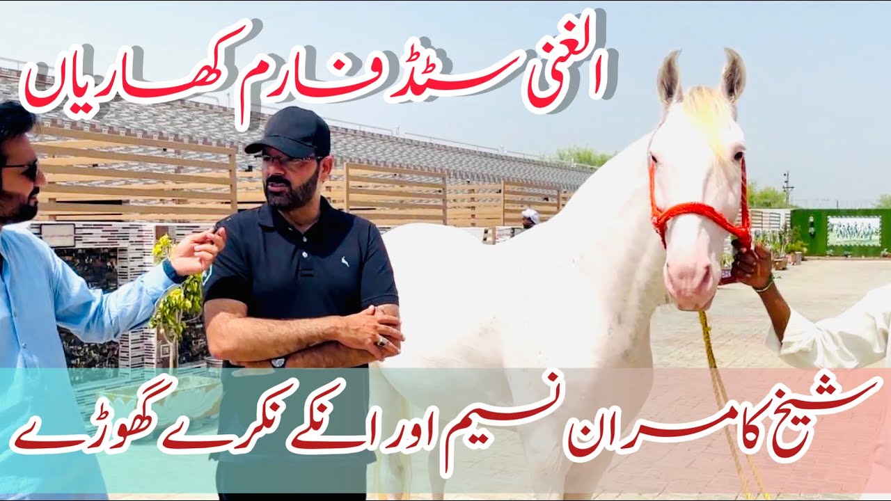 Very Beautiful Stud Farm in Khariaan || Al-Ghani Tent Pegging Club ...