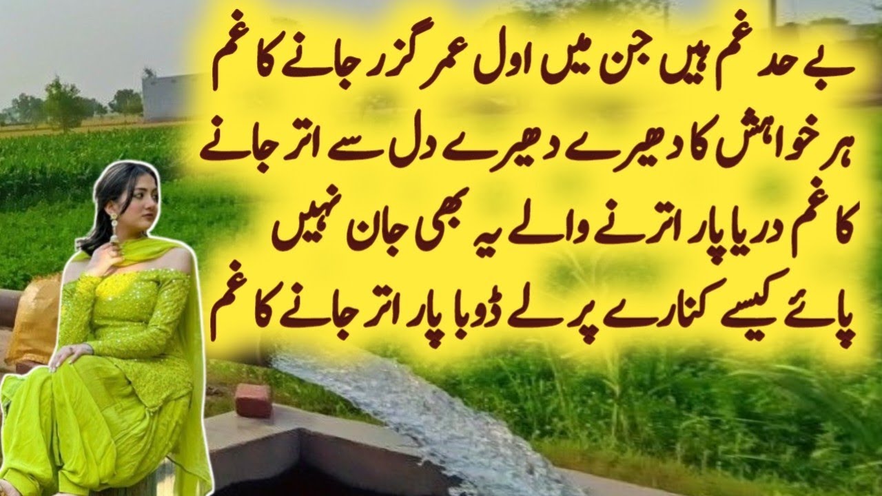 Best Urdu Shayari Urdu quotes |aqwal e zareen new gehri baten |deeni ...