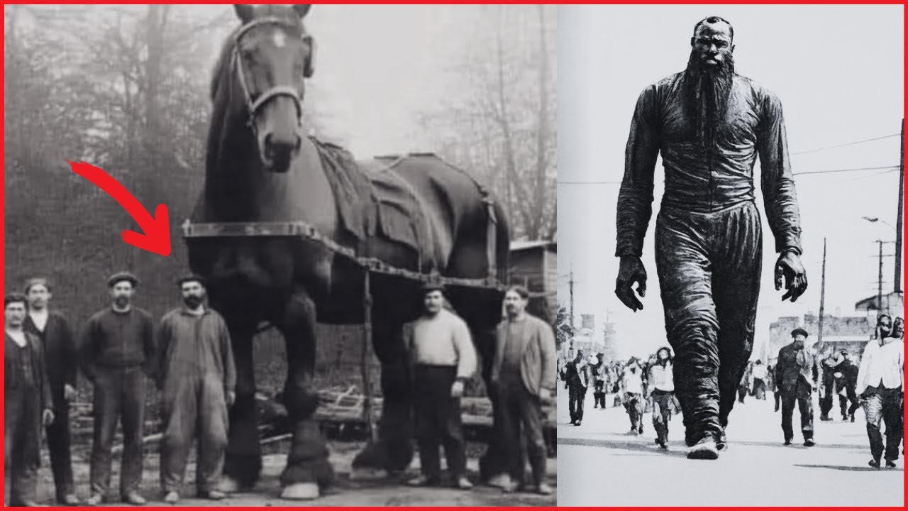 🔴Shocking Photos Of Giant Objects You Won’t Believe Actually Exist ...